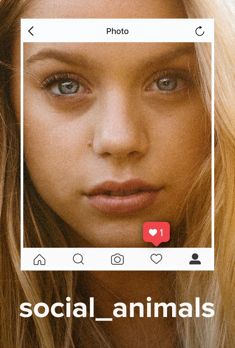 Watch Social Animals | Filmzie