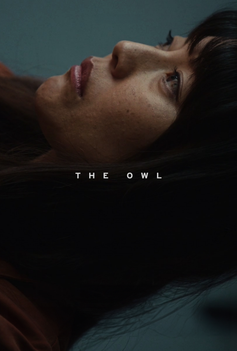 Filmzie - The Owl (2020)