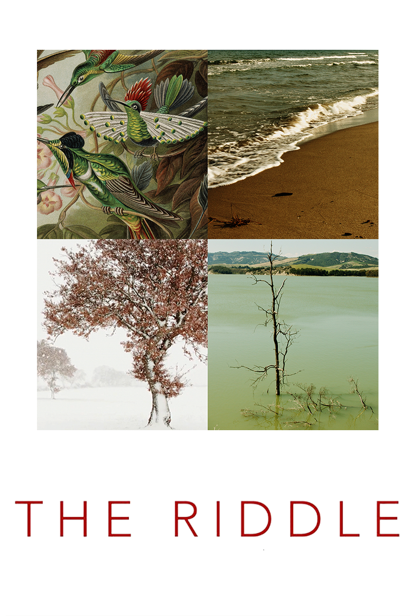 Watch The Riddle | Filmzie