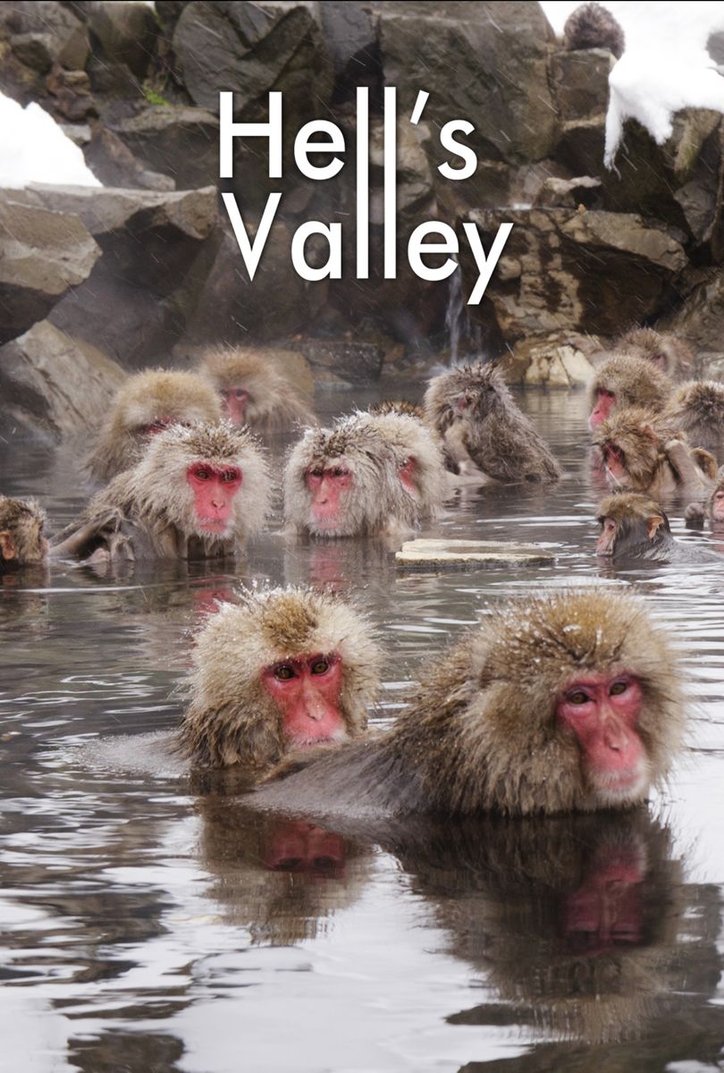 Filmzie - Hell's Valley: Japan's Snow Monkeys (2015)